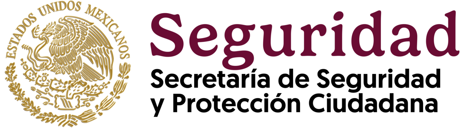 Cabinet Profile: Omar Garcia Harfuch, Secretary of Security | Mexico ...